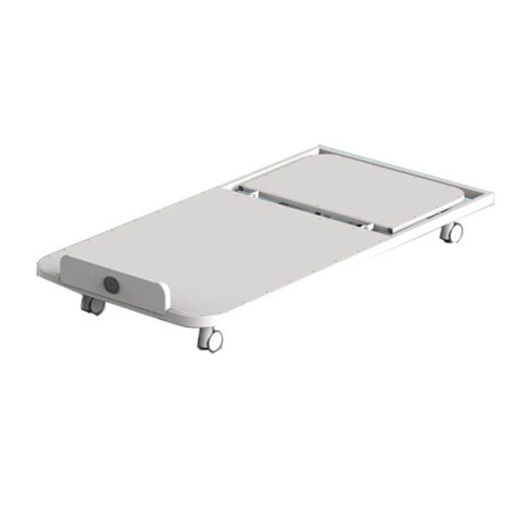 Mental Health Seclusion Bed – Battery Operated | Access Health