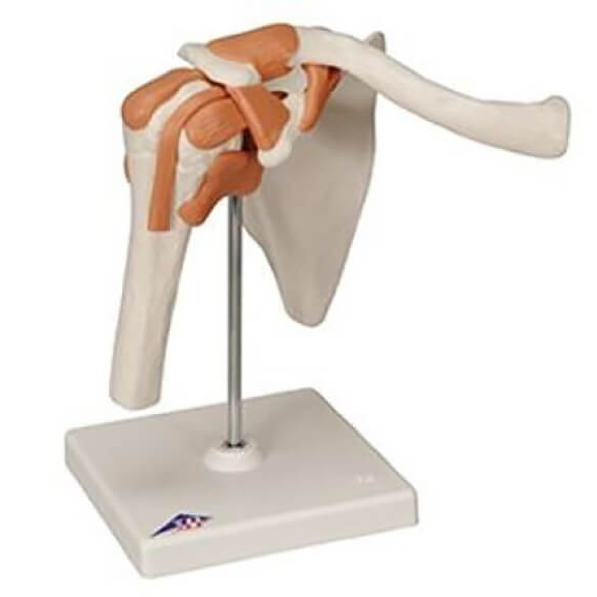 Formfit® Shoulder Brace with Abduction Kit - Shoulder Injury | Access ...